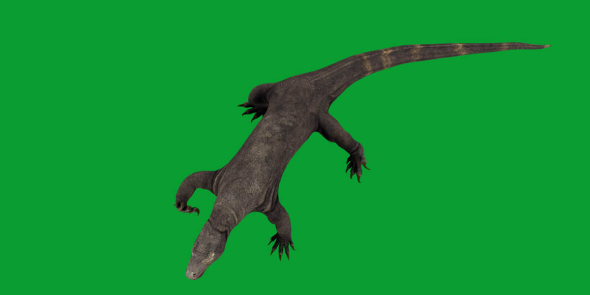 Komodo Dragon Monitor Lizard - 3D Model by Nyilonelycompany