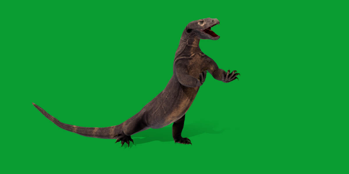 Komodo Dragon Monitor Lizard - 3D Model by Nyilonelycompany