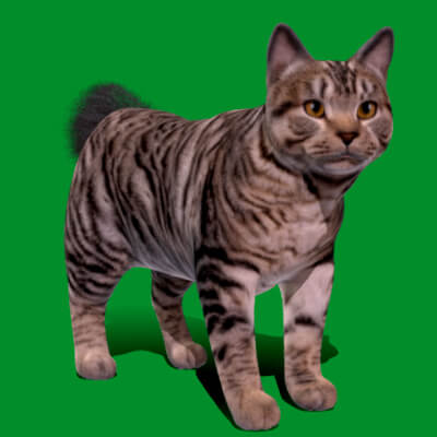 Glb 3D Models | Animals | Cats | RenderHub