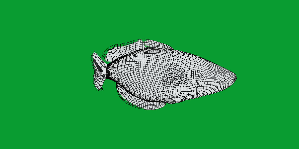 Lake Kurumoi Rainbowfish - 3D Model by Nyilonelycompany