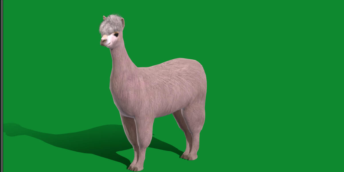 Llama Domesticated Animal - 3D Model by Nyilonelycompany