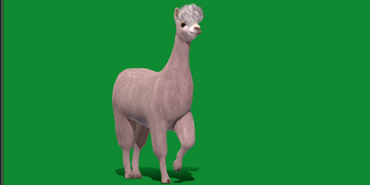 Llama Domesticated Animal - 3D Model by Nyilonelycompany