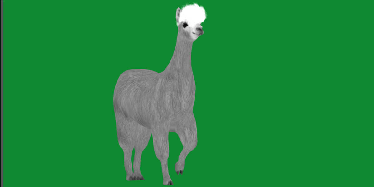 Llama Domesticated Animal - 3D Model by Nyilonelycompany
