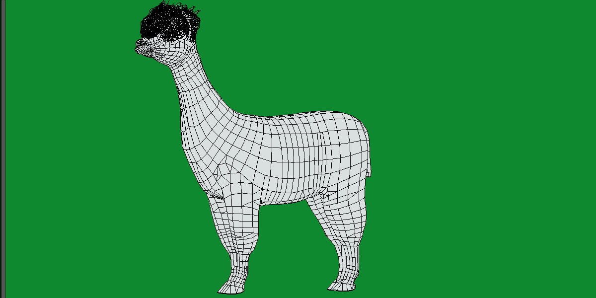 Llama Domesticated Animal - 3D Model by Nyilonelycompany