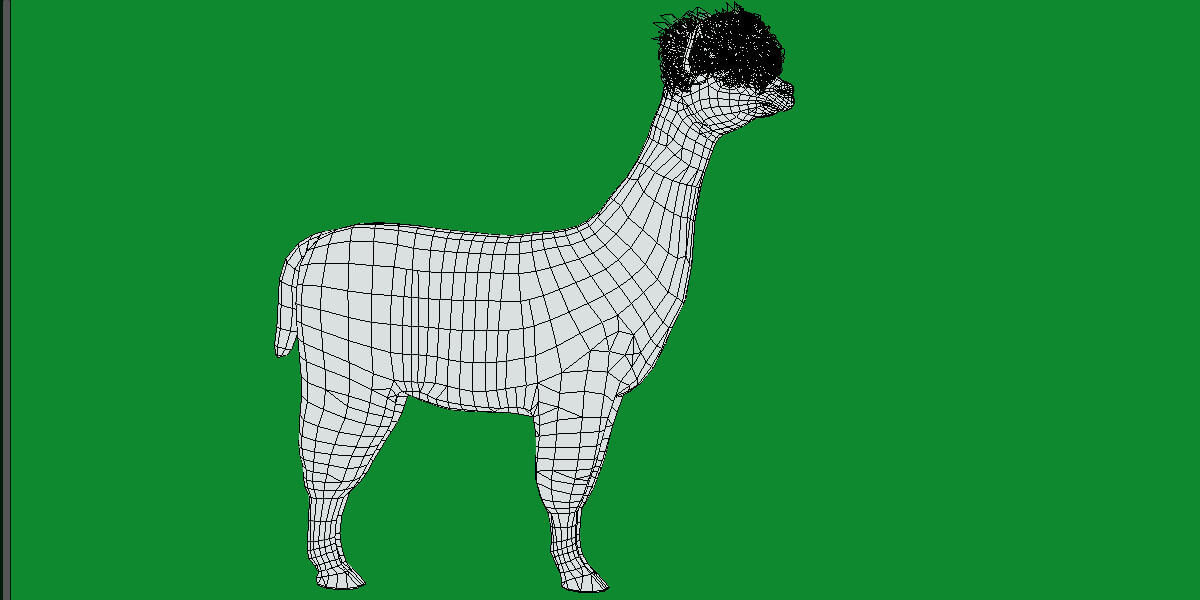 Llama Domesticated Animal - 3D Model by Nyilonelycompany