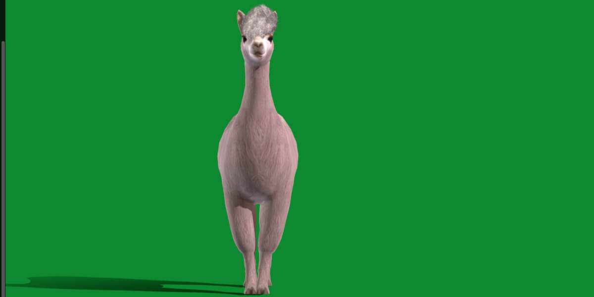 Llama Domesticated Animal - 3D Model by Nyilonelycompany