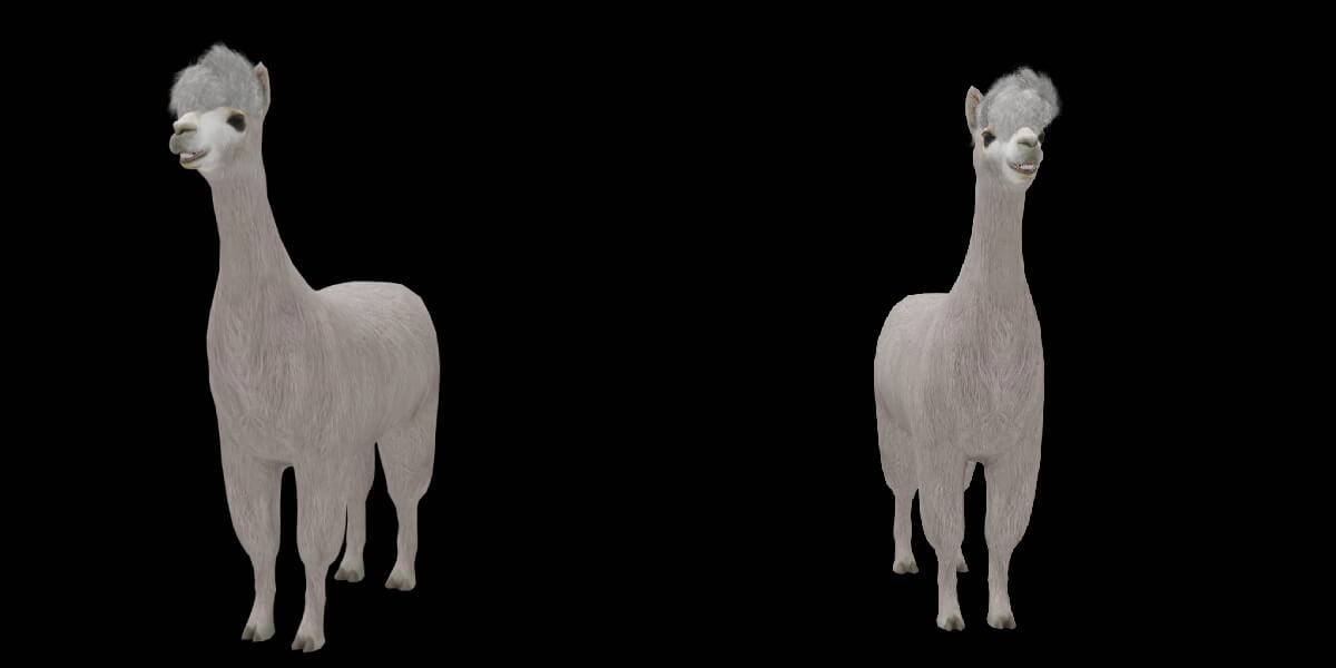 Llama Domesticated Animal - 3D Model by Nyilonelycompany
