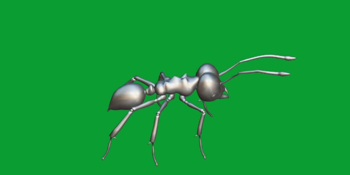 Leafcutter Ant Insect - 3D Model by Nyilonelycompany