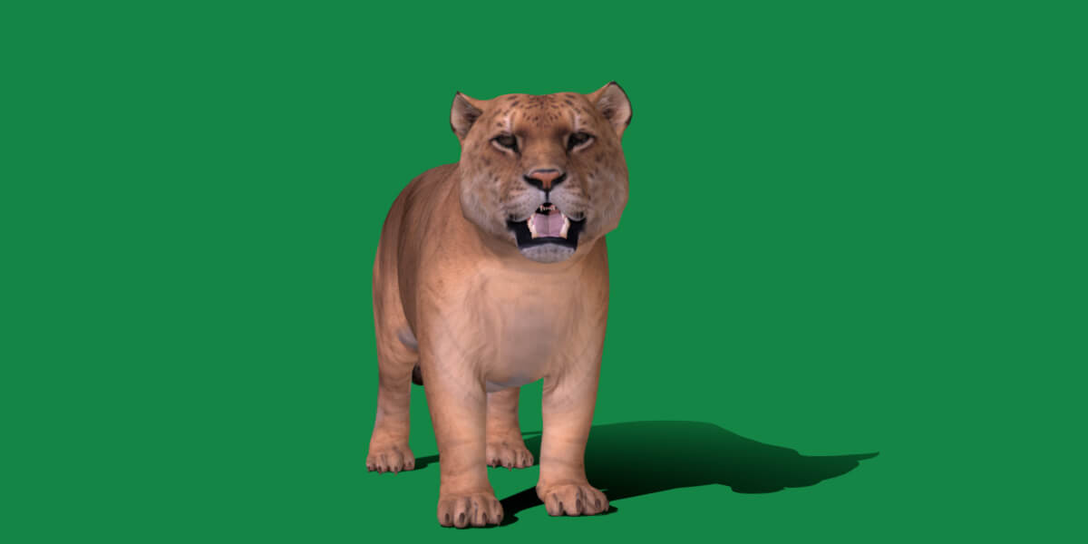 Liger Hybrid Feline - 3D Model by Nyilonelycompany