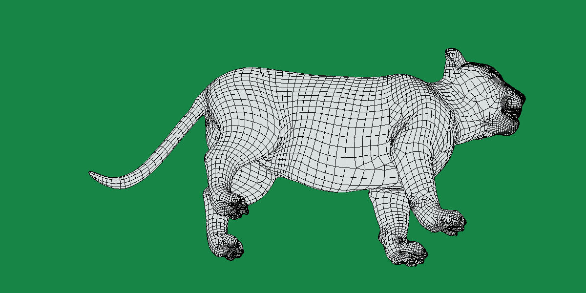 Liger Hybrid Feline - 3D Model by Nyilonelycompany