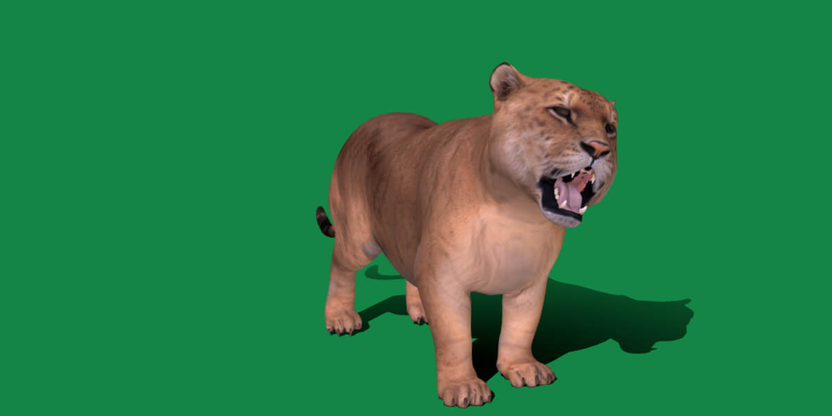 Liger Hybrid Feline - 3D Model by Nyilonelycompany