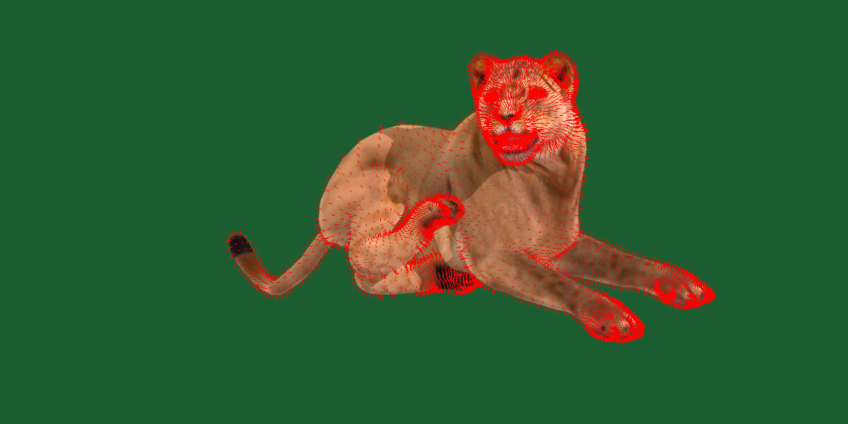 Lioness Cub Cat - 3D Model by Nyilonelycompany