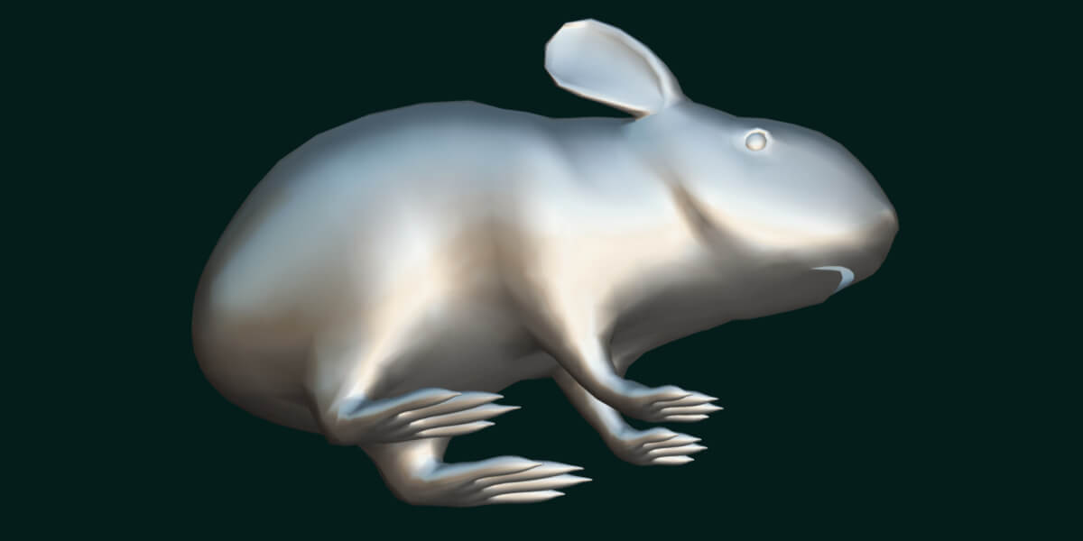 Lower Keys Marsh Rabbit - 3D Model by Nyilonelycompany