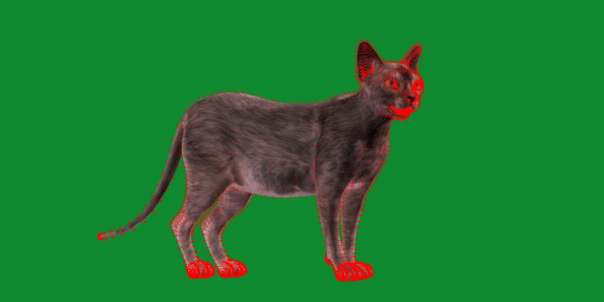 Lykoi Wolf Cat - 3D Model by Nyilonelycompany