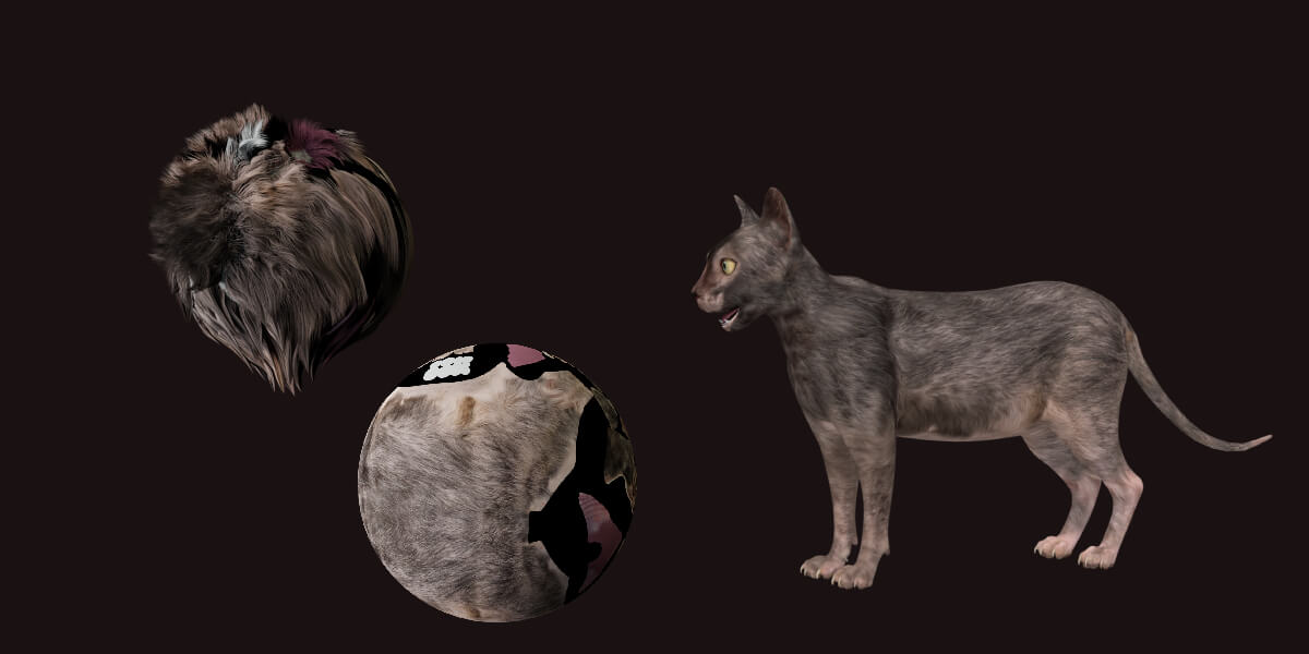 Lykoi Wolf Cat - 3D Model by Nyilonelycompany