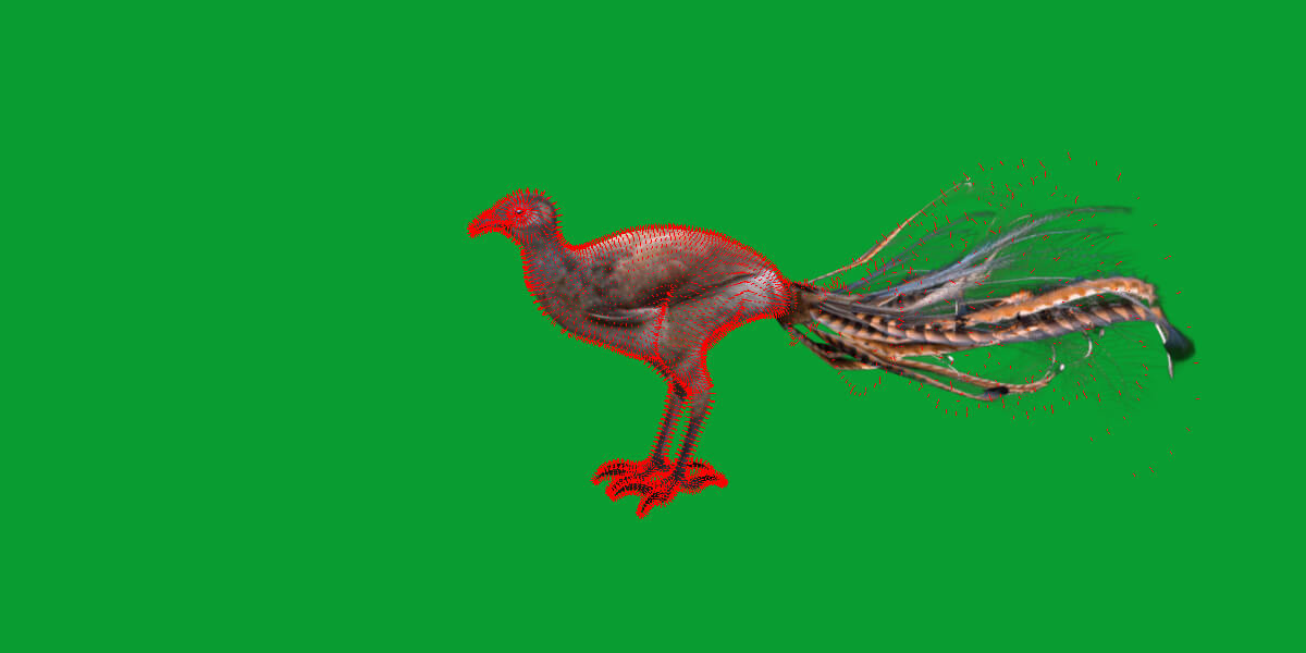 Lyrebird Menura - 3D Model by Nyilonelycompany