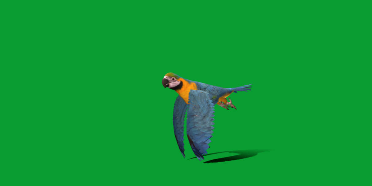 Macaw Parrot Bird - 3D Model by Nyilonelycompany