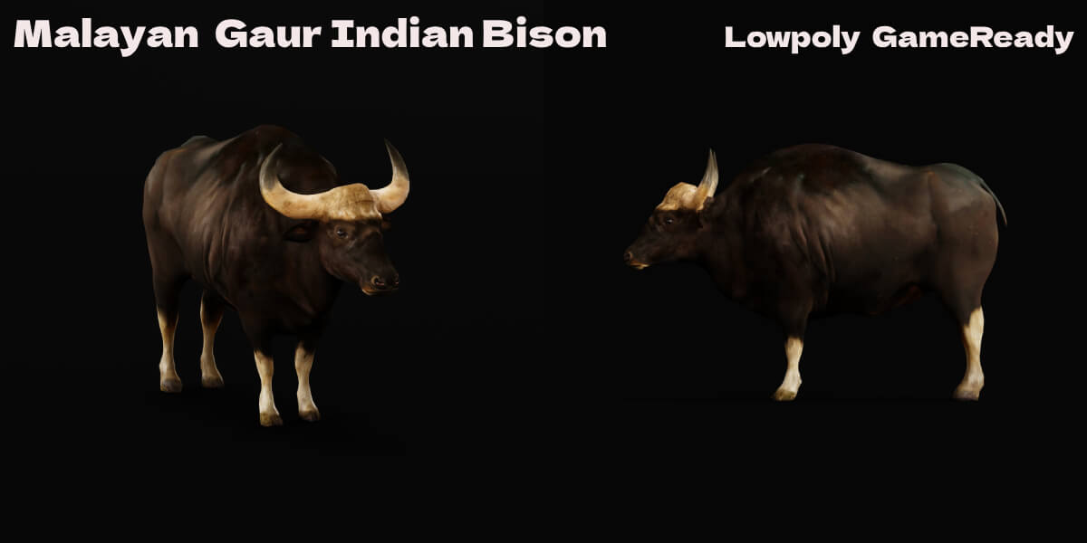Malayan Gaur Indian Bison - 3D Model by Nyilonelycompany