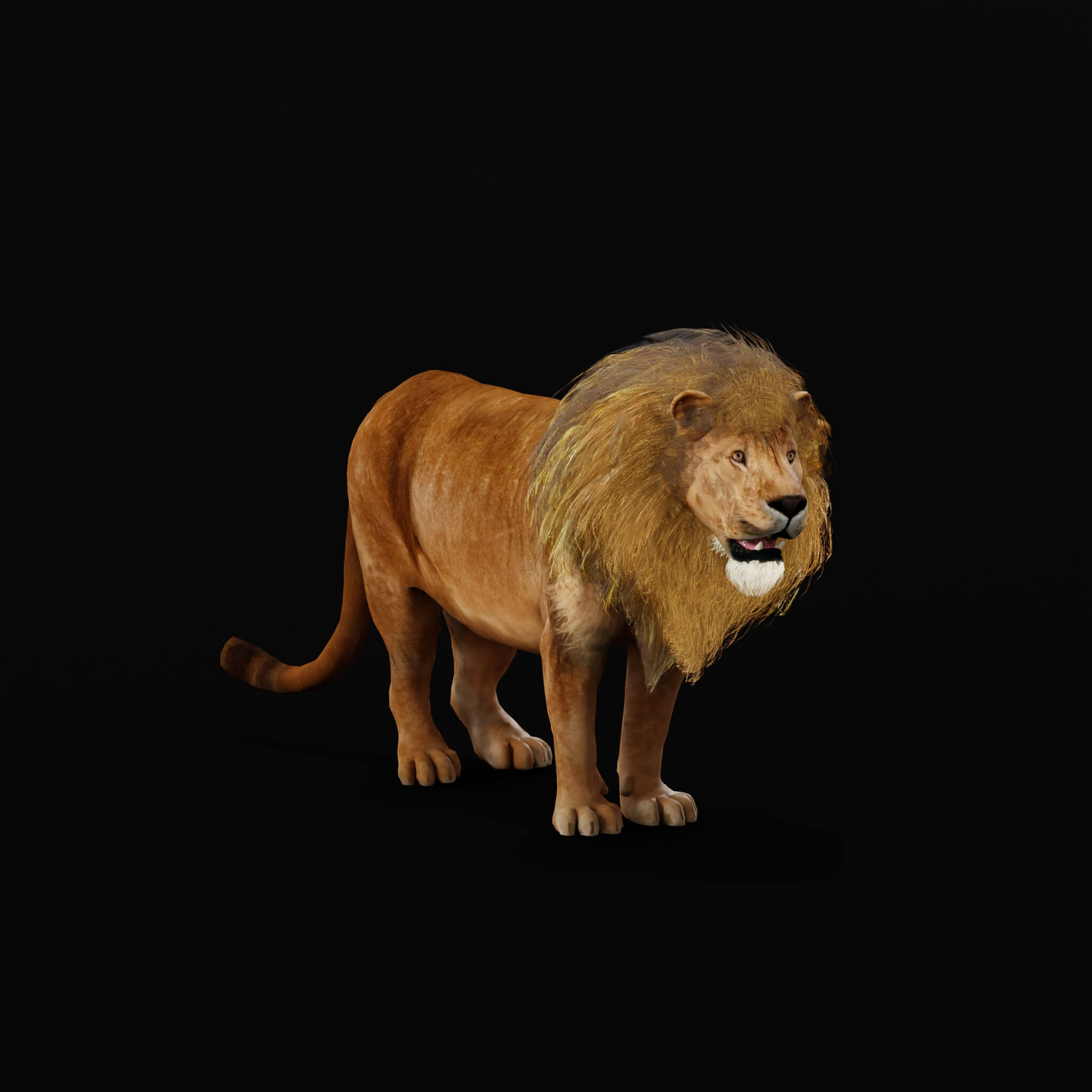 Male African Lion - 3D Model by Nyilonelycompany