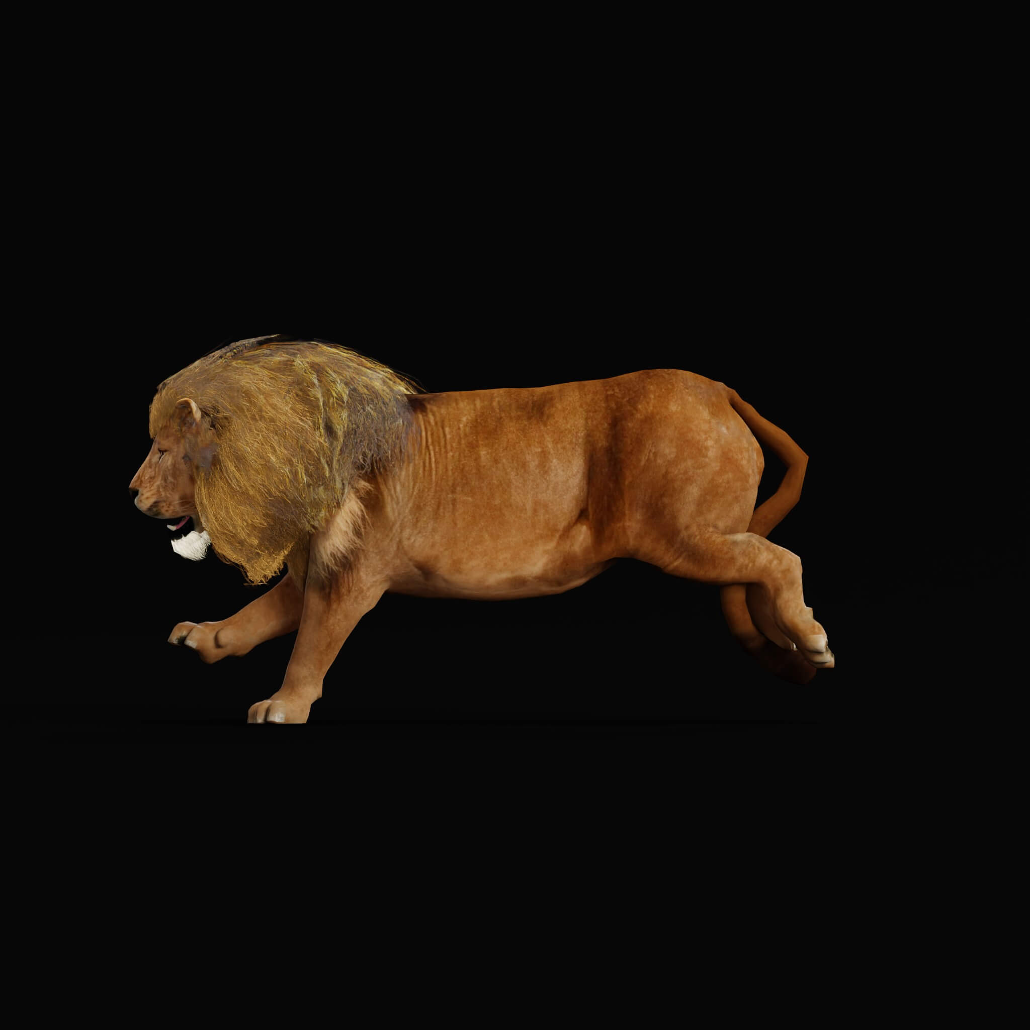 Male African Lion - 3D Model by Nyilonelycompany