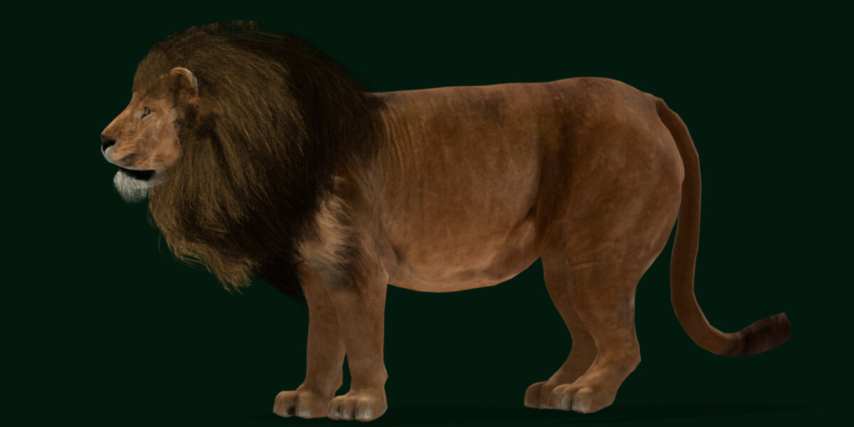 Male African Lion - 3D Model by Nyilonelycompany
