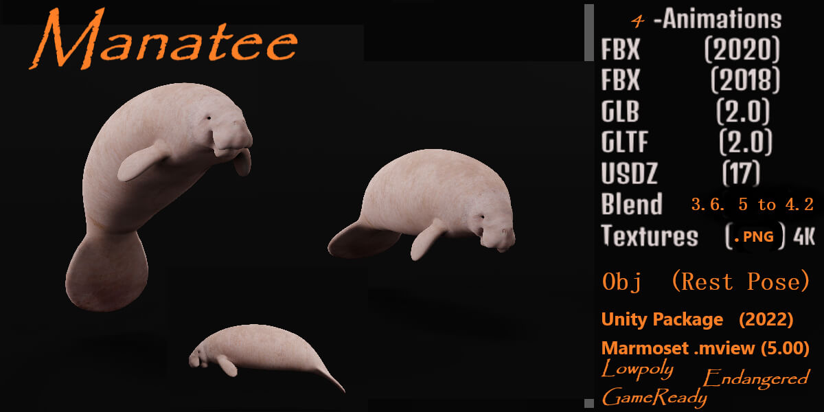 Manatee Sea Cow - 3D Model by Nyilonelycompany