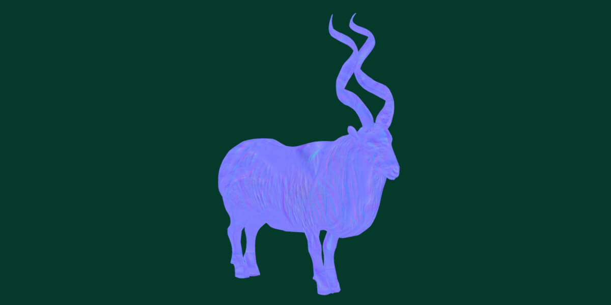 Markhor Wild Goat - 3D Model by Nyilonelycompany