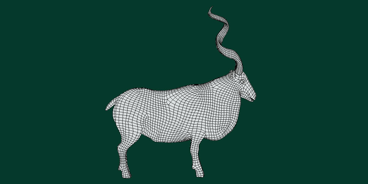 Markhor Wild Goat - 3D Model by Nyilonelycompany