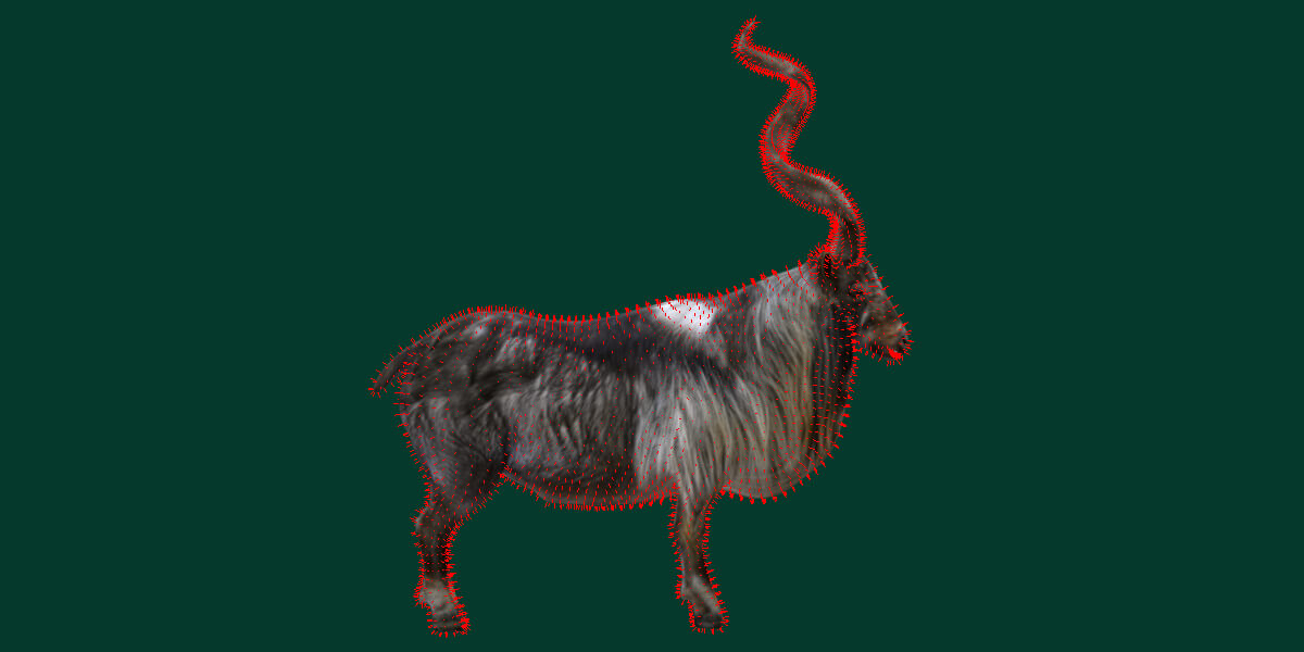Markhor Wild Goat - 3D Model by Nyilonelycompany