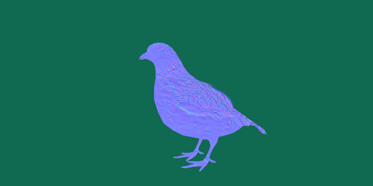 Masked Bobwhite Quail Bird - 3D Model by Nyilonelycompany