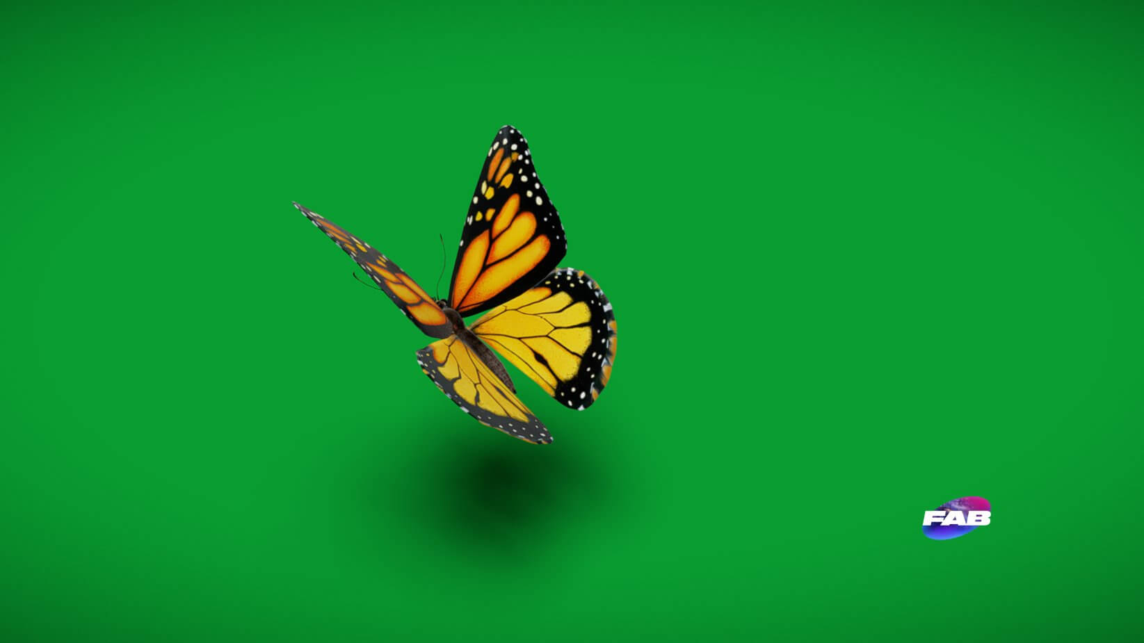 Monarch Butterfly Insect - 3D Model by Nyilonelycompany