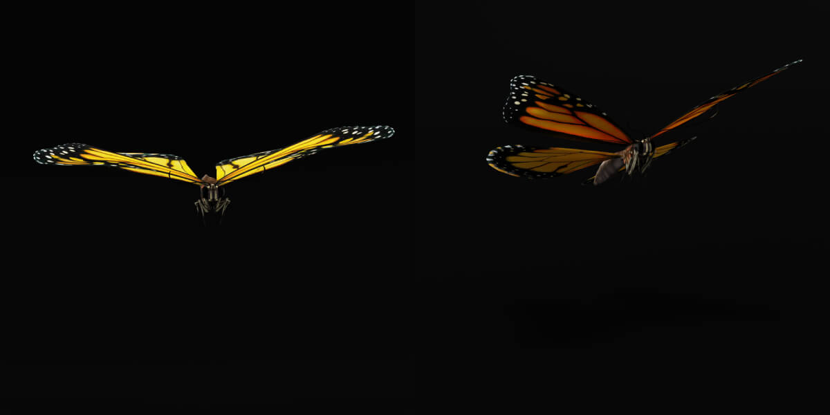 Monarch Butterfly Insect - 3D Model by Nyilonelycompany