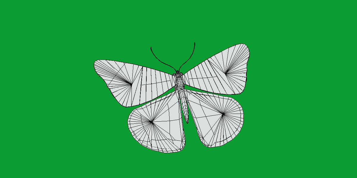 Monarch Butterfly Insect - 3D Model by Nyilonelycompany