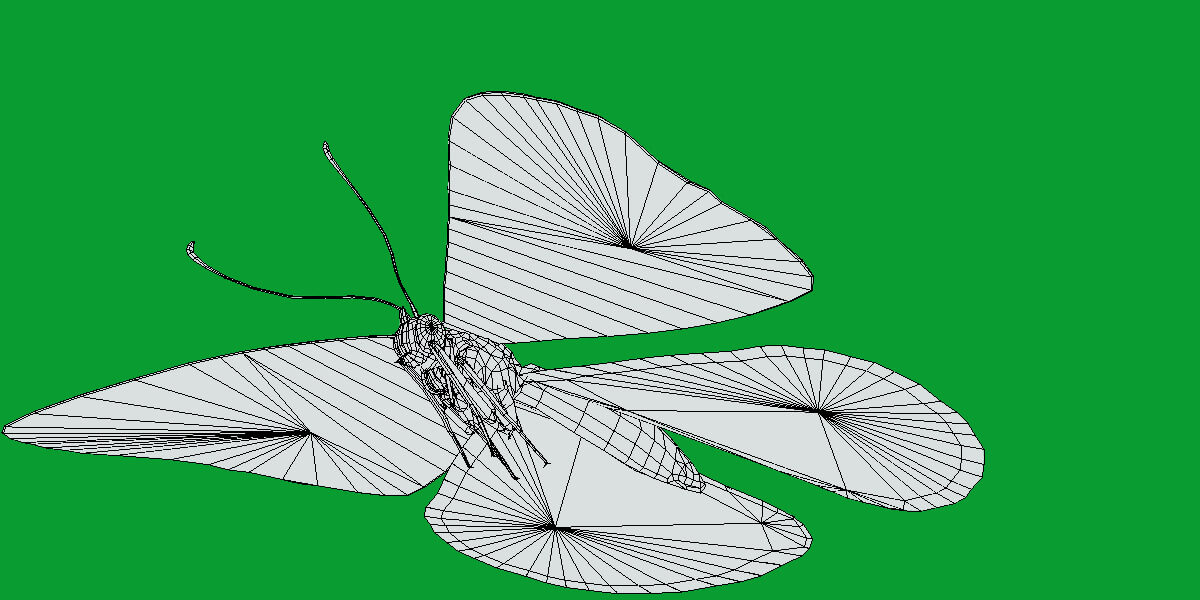 Monarch Butterfly Insect - 3D Model by Nyilonelycompany