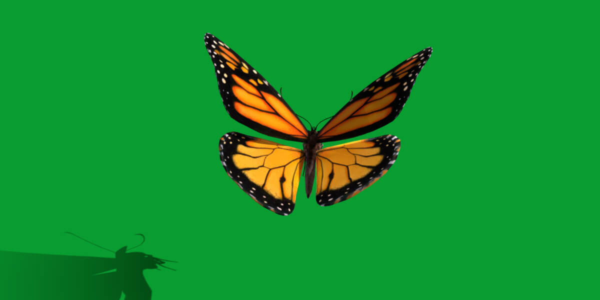 Monarch Butterfly Insect - 3D Model by Nyilonelycompany