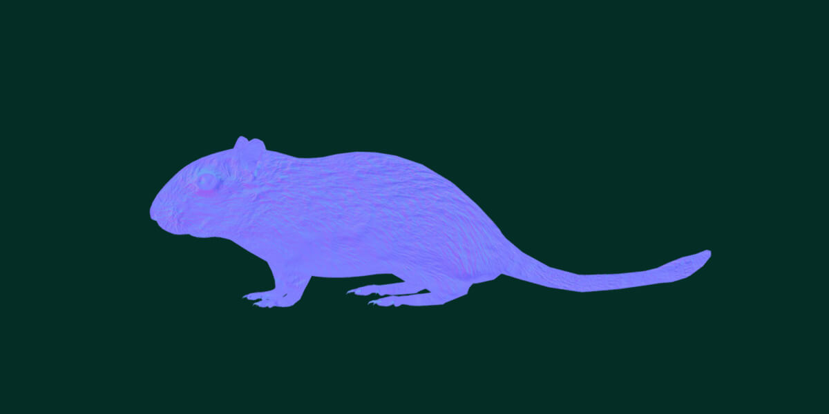 Mongolian Gerbil Rat Rodent - 3D Model by Nyilonelycompany