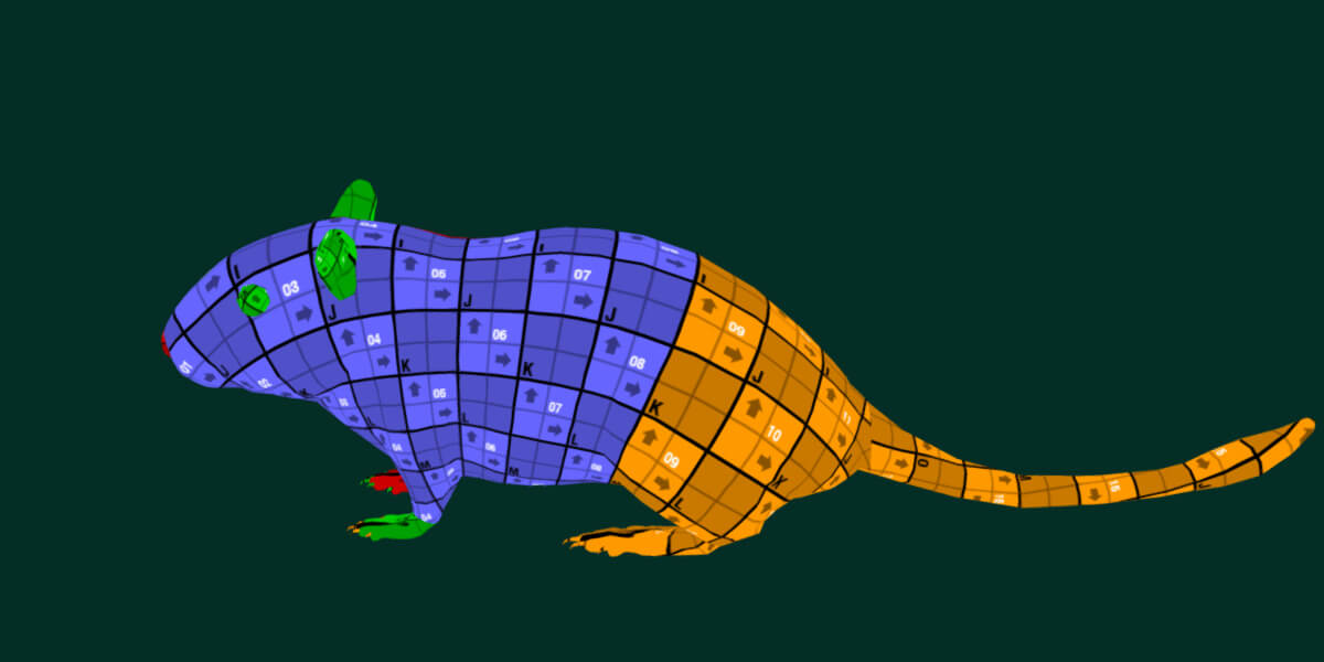 Mongolian Gerbil Rat Rodent - 3D Model by Nyilonelycompany