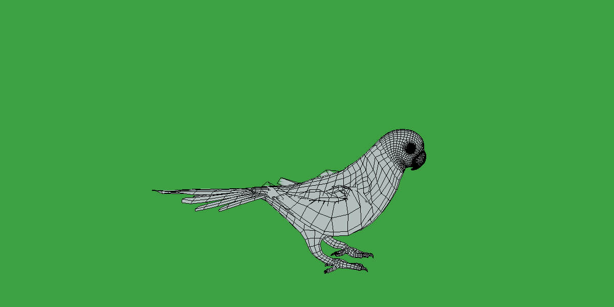 Monk Quaker Parrot Bird - 3D Model by Nyilonelycompany
