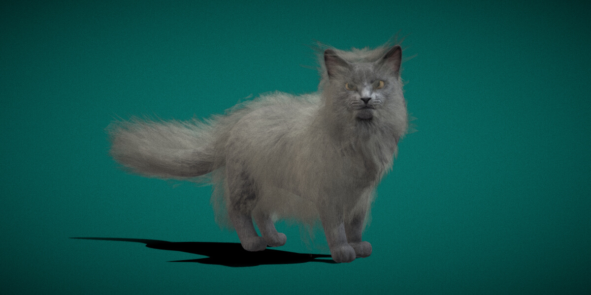Nebelung Cat - 3D Model by Nyilonelycompany
