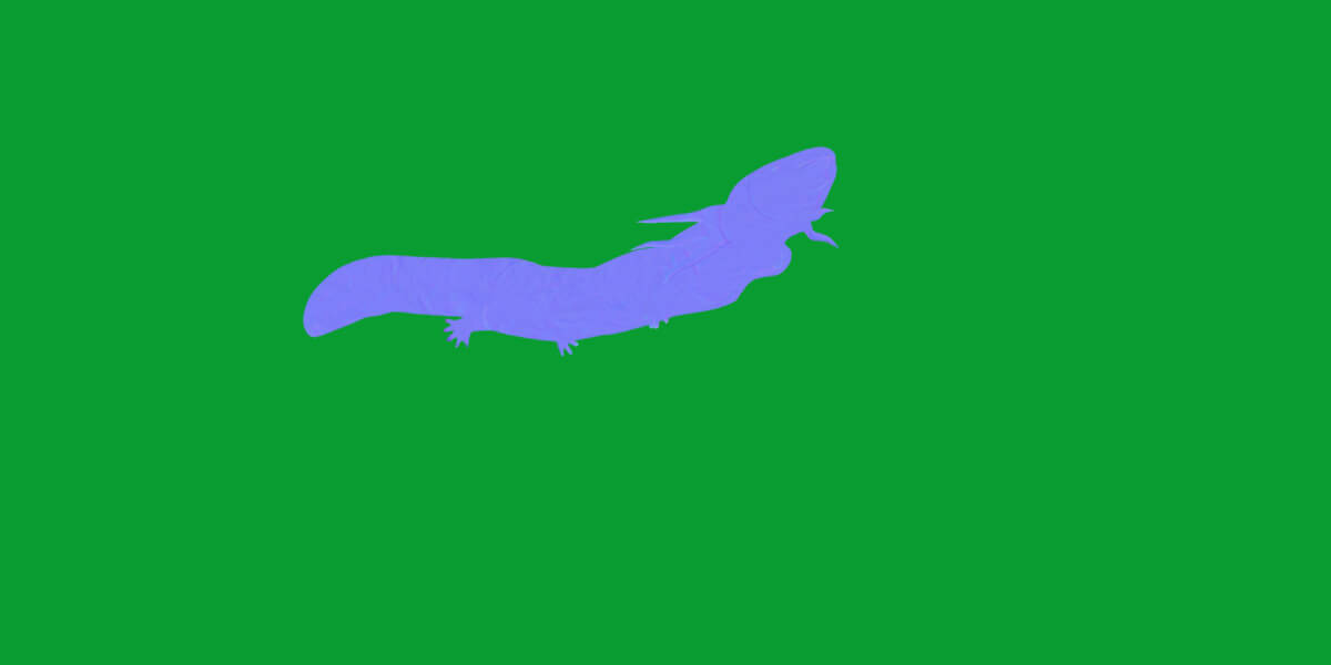 Necturus Mudpuppy - 3D Model by Nyilonelycompany