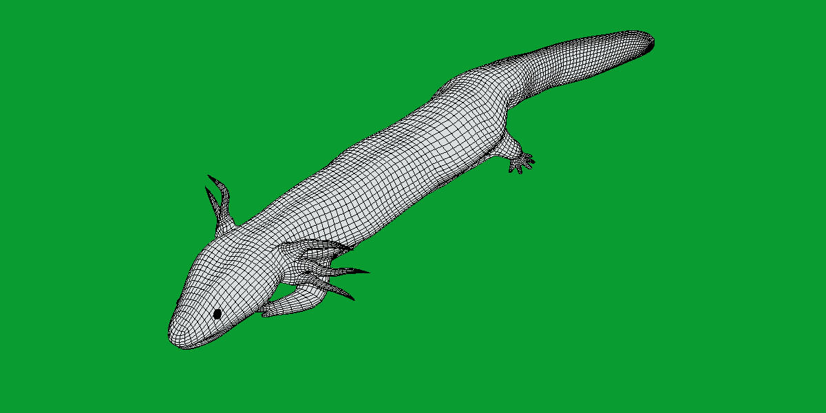 Necturus Mudpuppy - 3D Model by Nyilonelycompany