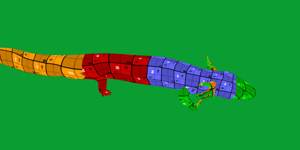 Necturus Mudpuppy - 3D Model by Nyilonelycompany