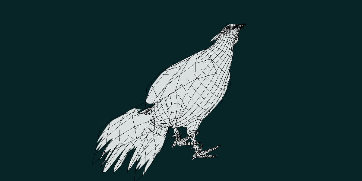 Nepal Kalij Pheasant Bird - 3D Model by Nyilonelycompany