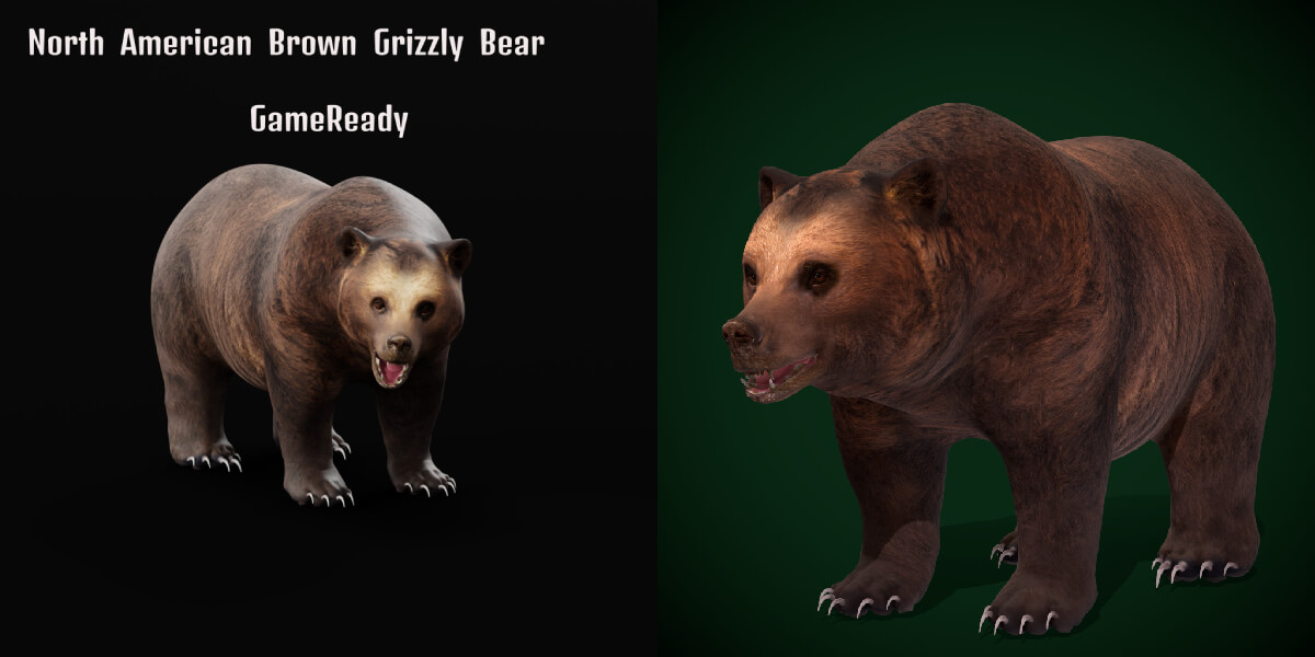 North American Brown Bear - 3D Model by Nyilonelycompany