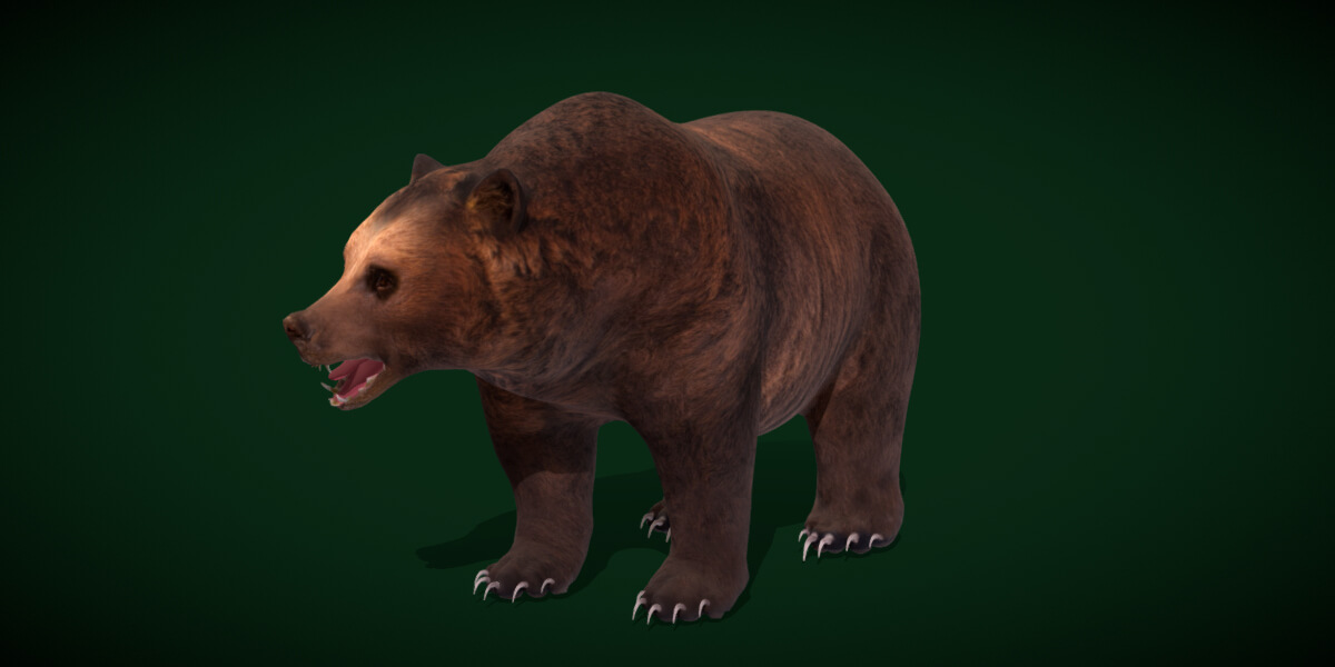 North American Brown Bear - 3D Model by Nyilonelycompany