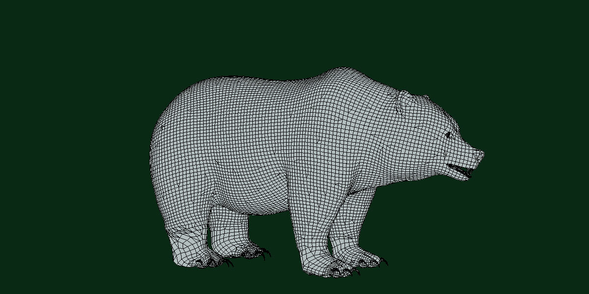 North American Brown Bear - 3D Model by Nyilonelycompany