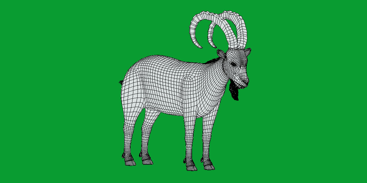 Nubian Ibex Goat - 3D Model by Nyilonelycompany