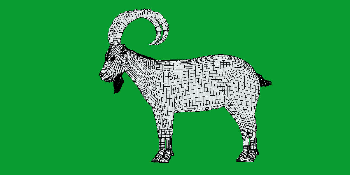 Nubian Ibex Goat - 3D Model by Nyilonelycompany