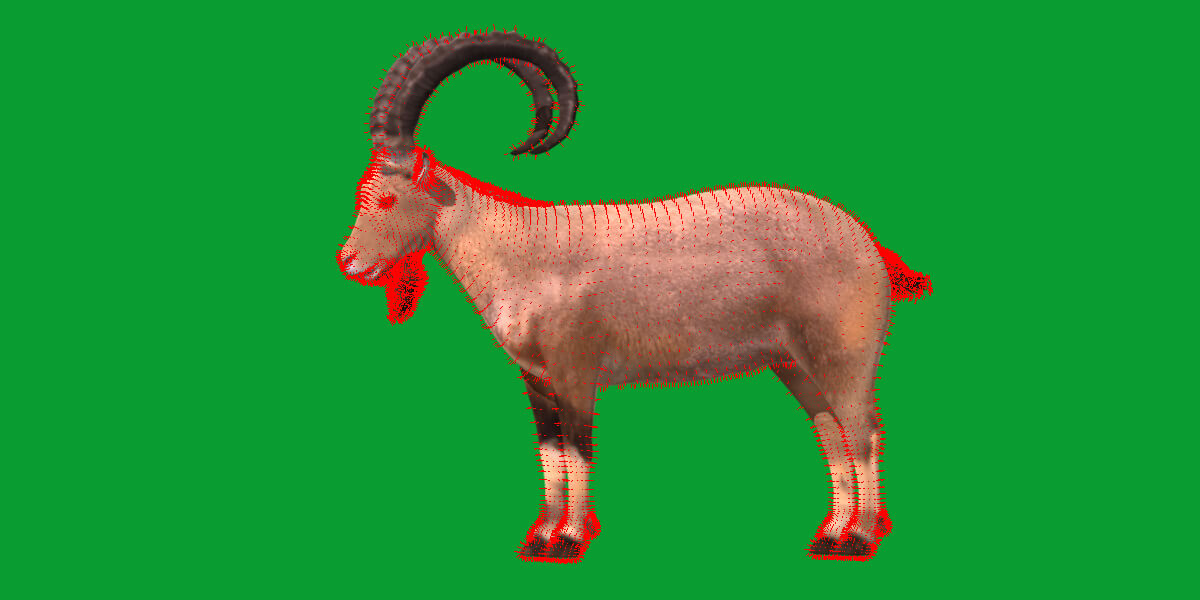 Nubian Ibex Goat - 3D Model by Nyilonelycompany