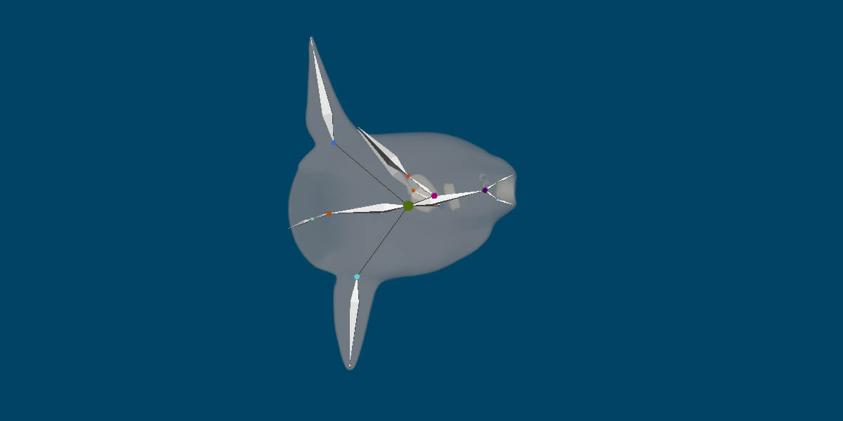 Ocean Sunfish Mola - 3D Model by Nyilonelycompany